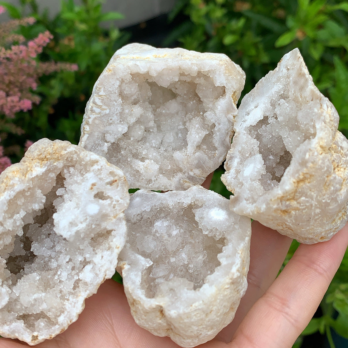 Mini Agate Geode Slices – Endless Guidance